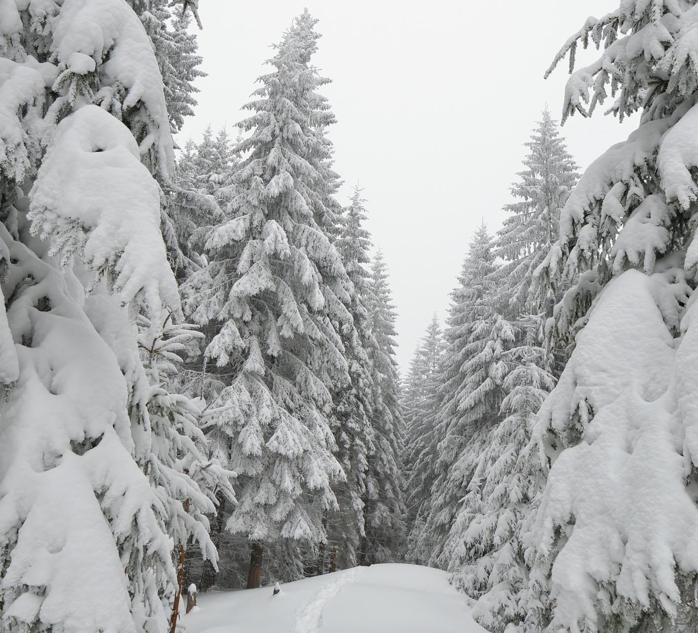 Programme des vacances d’hiver 12-17 ans – MJC Rives